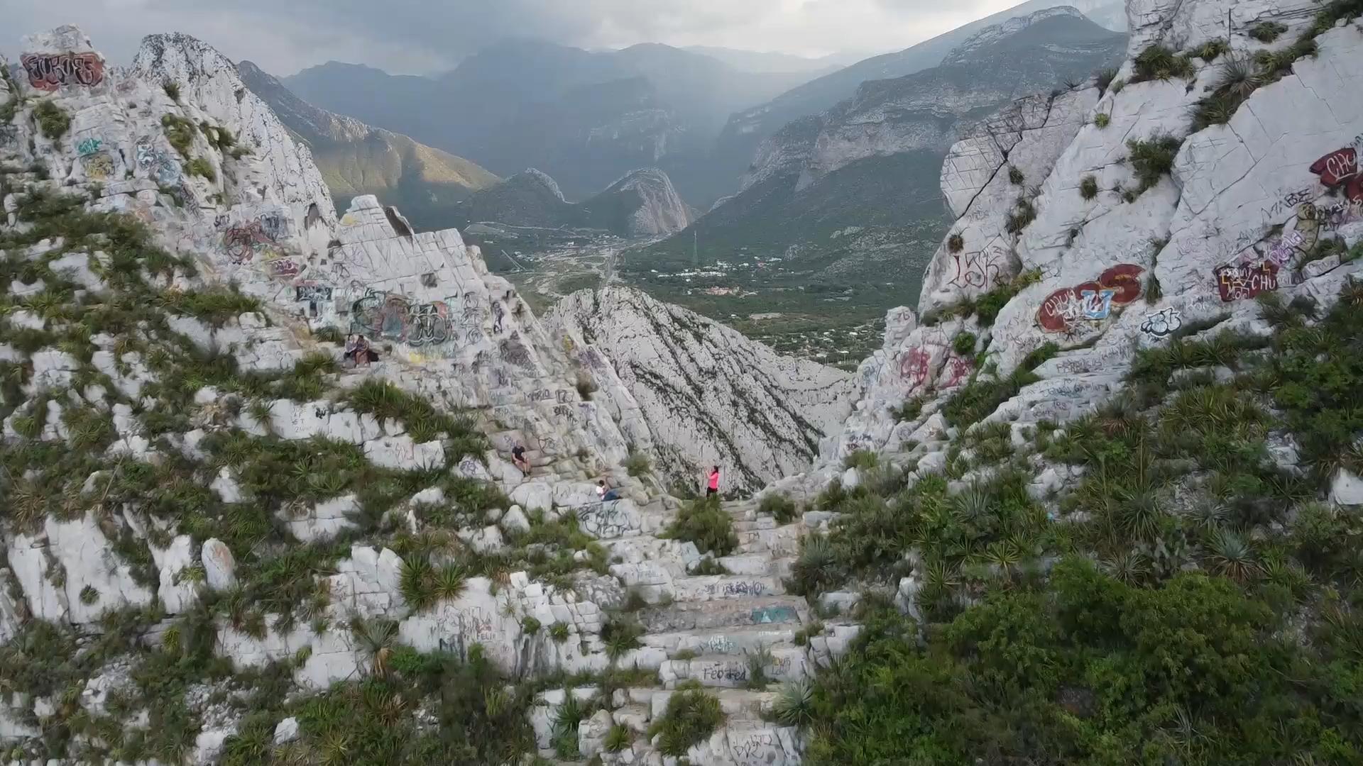 Borasana Services | One team, all solutions